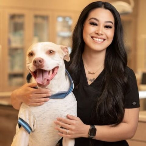 Veterinarian In Las Vegas, NV | Town Center Animal Hospital